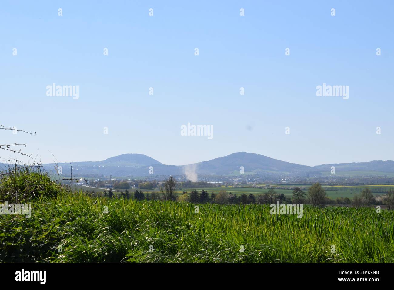 yellow fields in the Eifel Stock Photo - Alamy