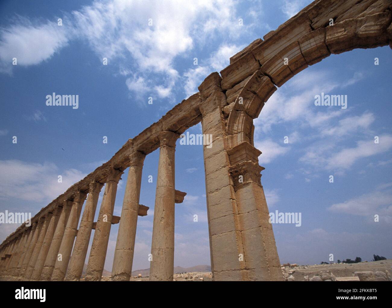 Palmyra's colonnade, Palmyra, Syria Stock Photo - Alamy