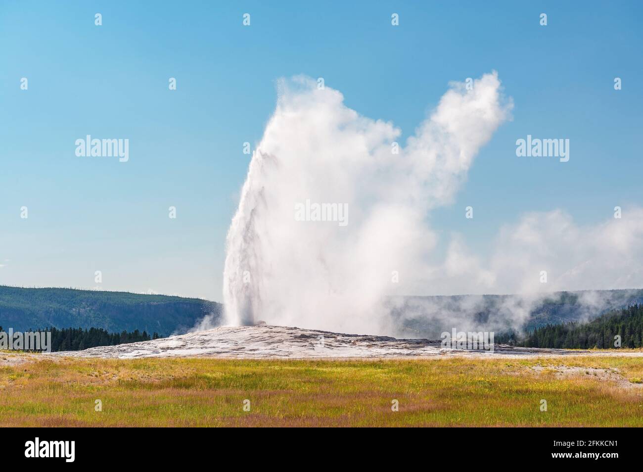 Old Fauthful geyser eruption, Yellowstone national park, Wyoming ...