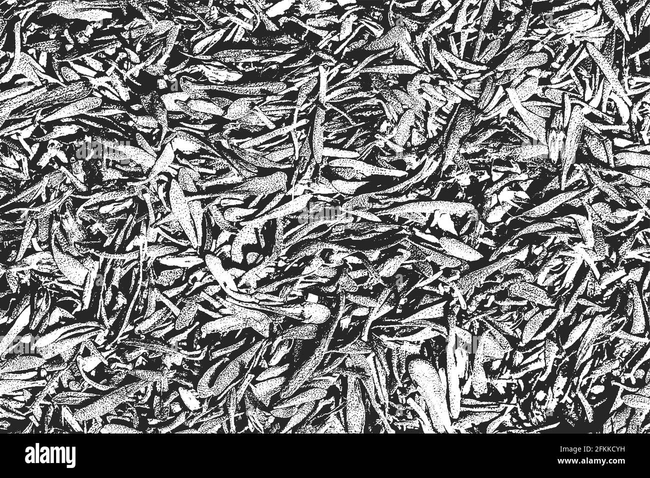 Dry Leaf Texture Vector