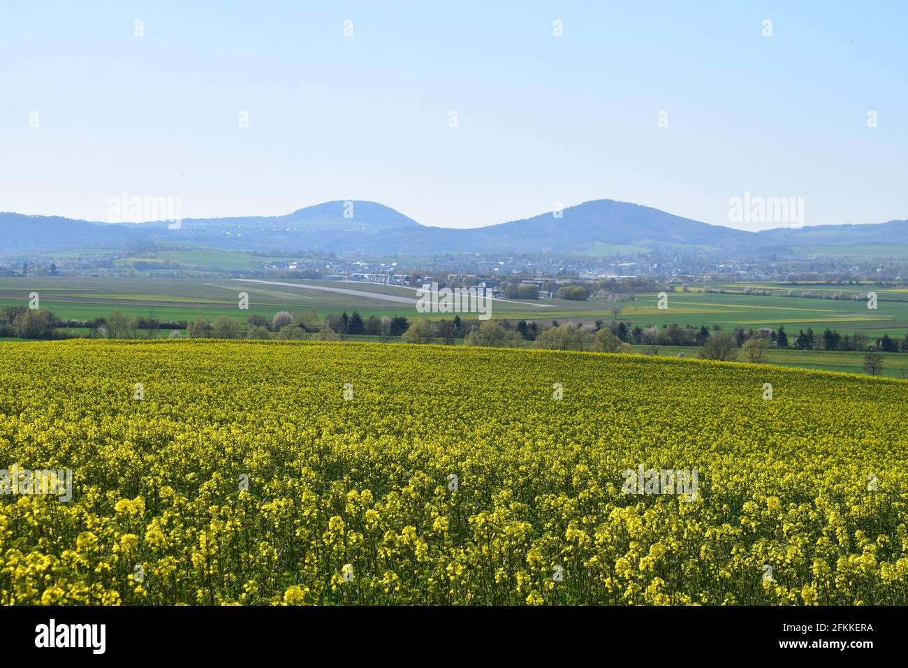 yellow fields in the Eifel Stock Photo - Alamy