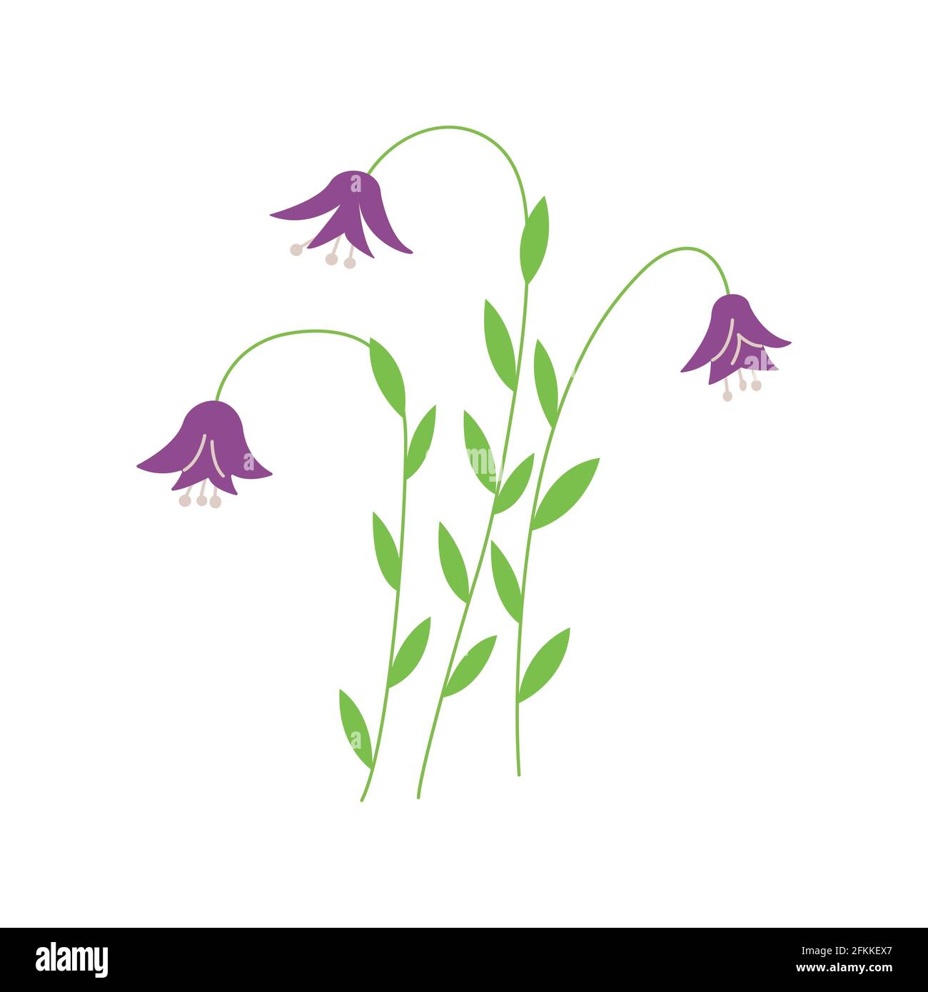 Flowers bells. Three wildflowers. Colorful hand drawn vector isolated ...