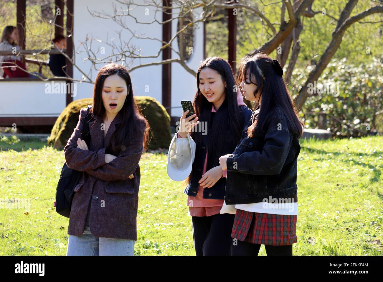 Asian girls walking and having fun in Japanese garden. Cherry blossom ...