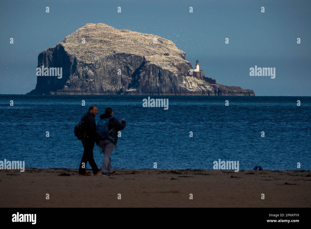 Bass rock east lothian and beach hi-res stock photography and images ...