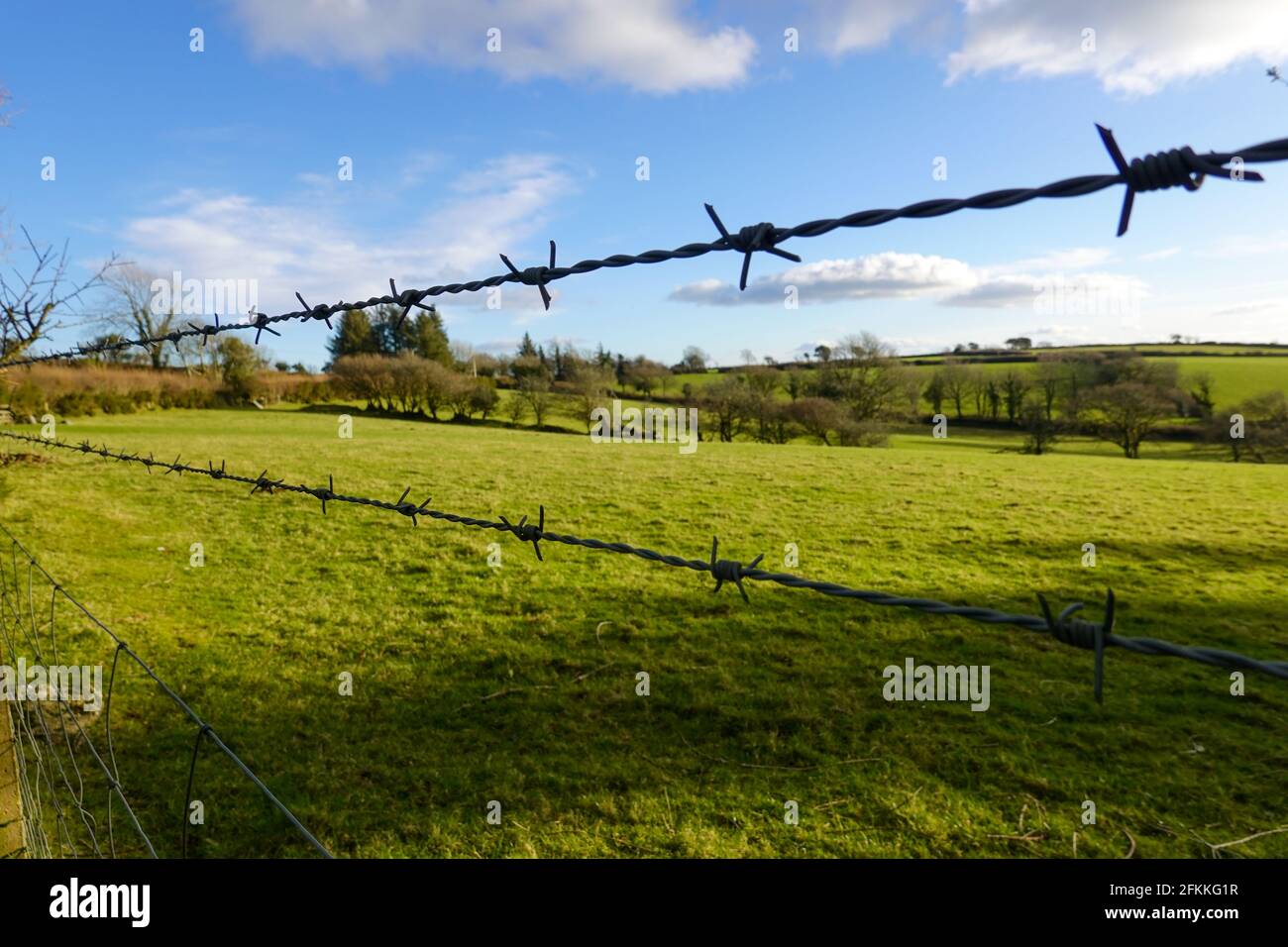 Barbed wire fence bordering grass field Stock Photo - Alamy