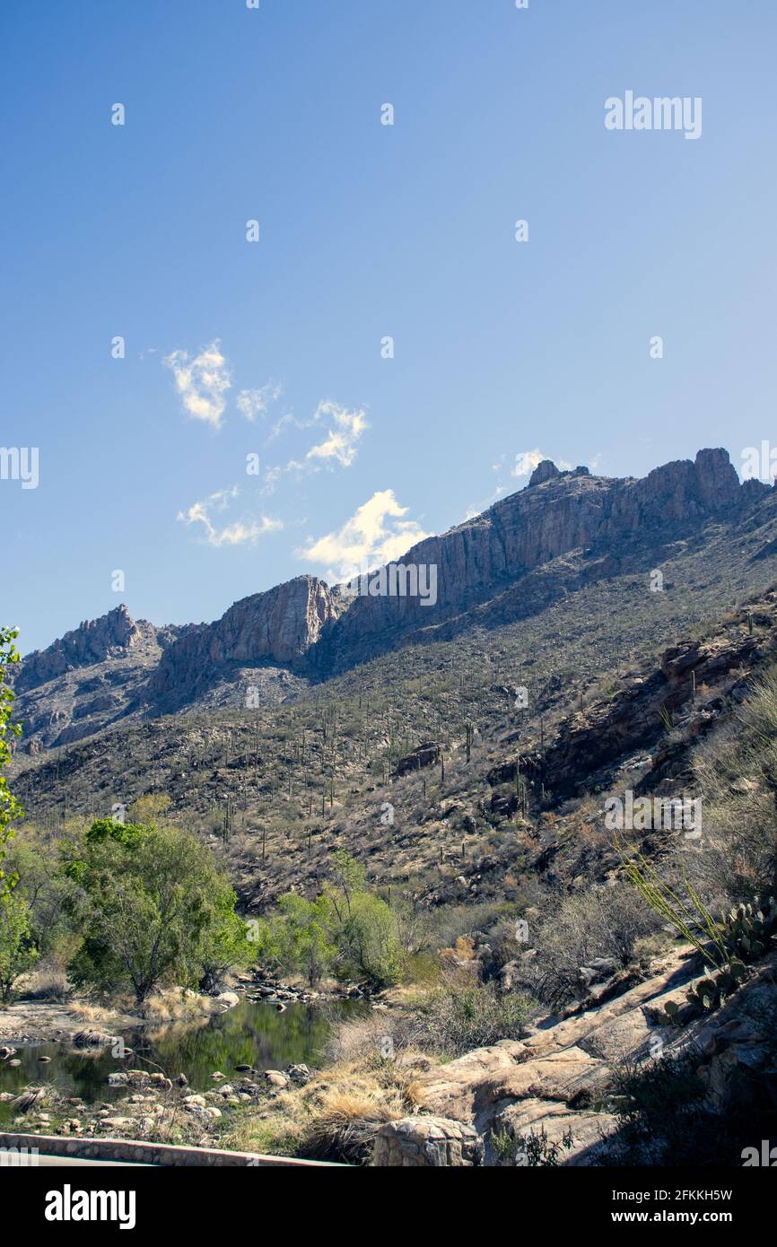Springtime In Sabino Canyon, in the Santa Catalina Mountains just north ...
