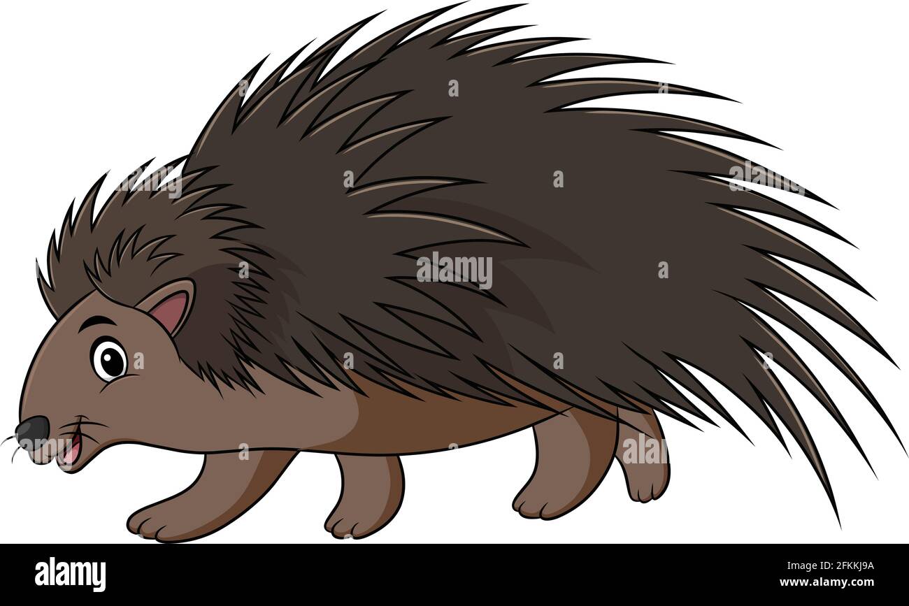 Cute Porcupine animal cartoon vector illustration Stock Vector Image ...