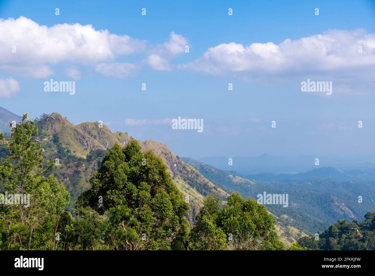 Ella Sri Lanka tea fields, little Adams peak, train nine arches bridge ...