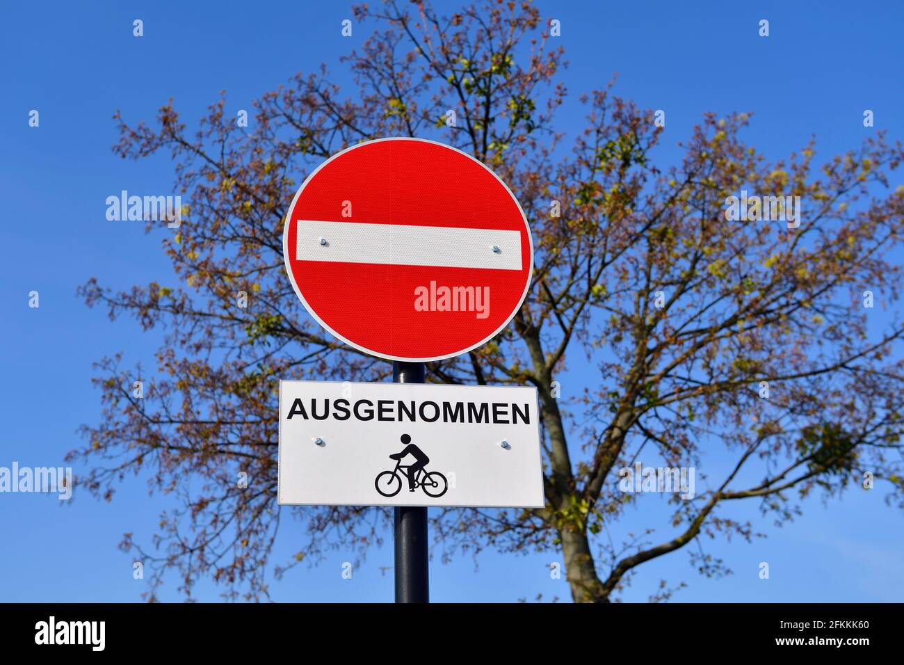 Driving ban sign, with the exception of cyclists Stock Photo - Alamy