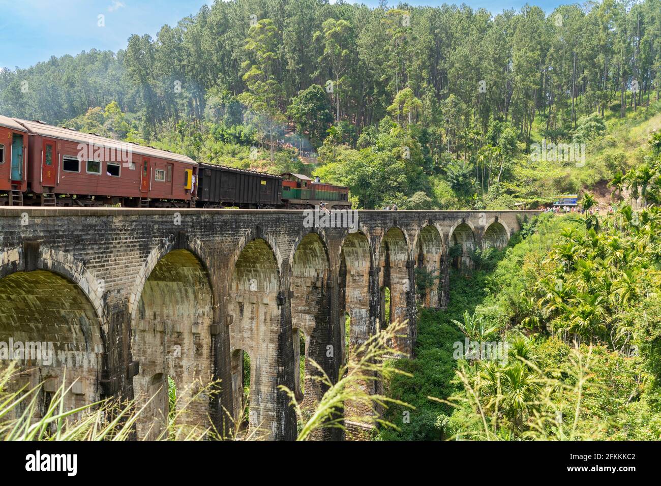 Ella Sri Lanka tea fields, little Adams peak, train nine arches bridge ...