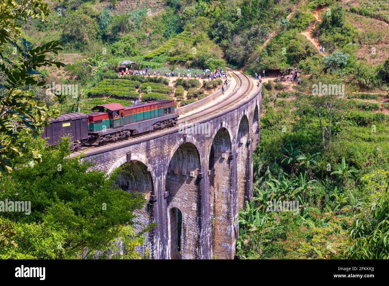 Ella Sri Lanka tea fields, little Adams peak, train nine arches bridge ...