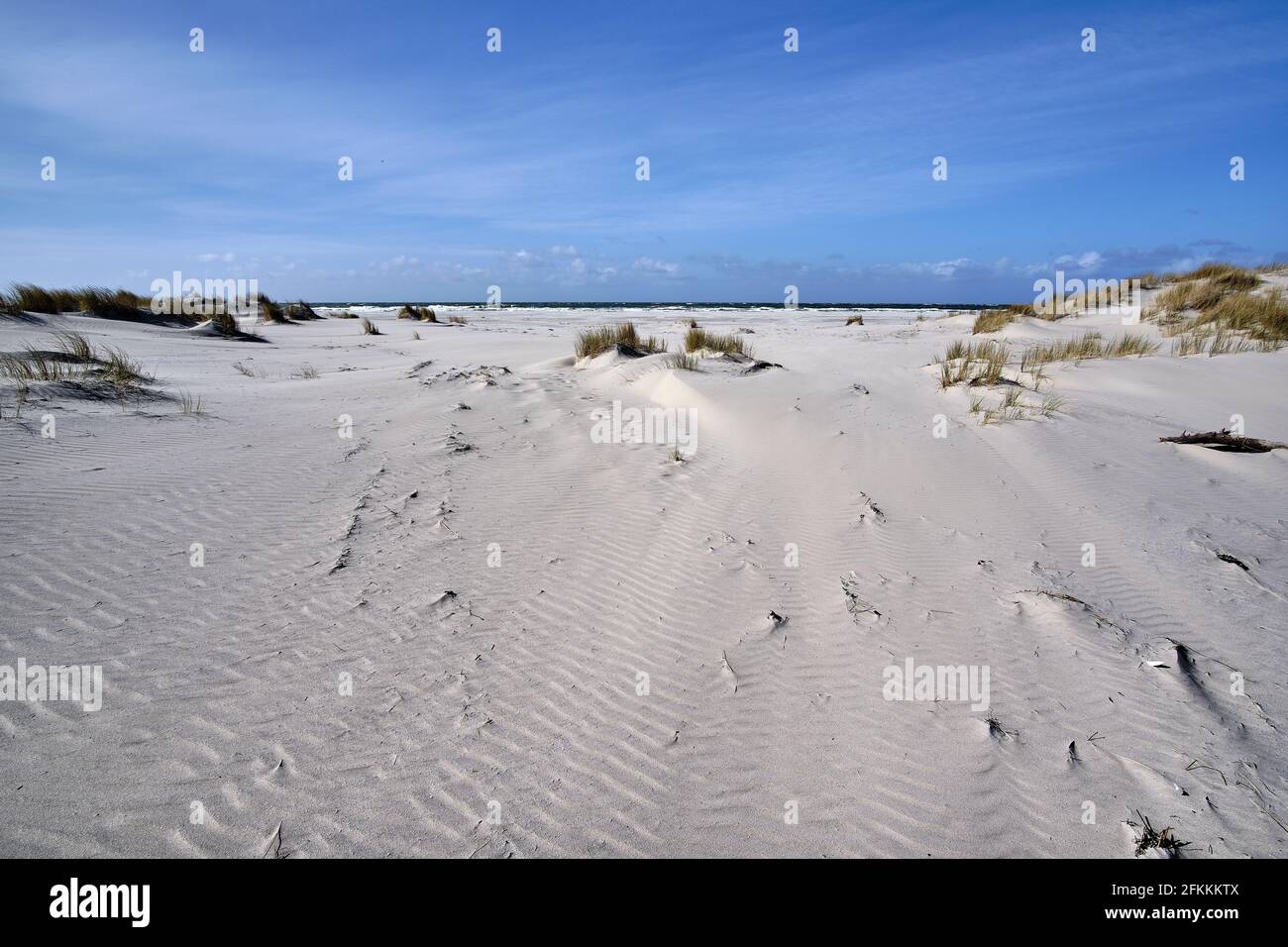 Dutch beach view, sand dunes and sea on a cold windy spring day with ...