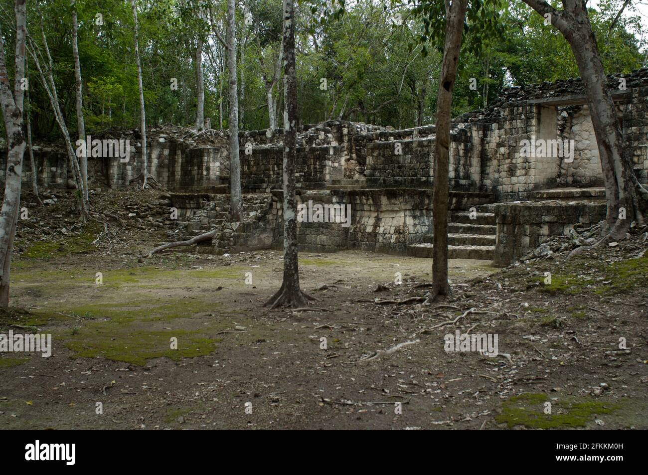 BALAMKU SIGNIFICA EN MAYA TEMPLO DEL JAGUAR LA ZONA ARQUEOLOGICA DE ...