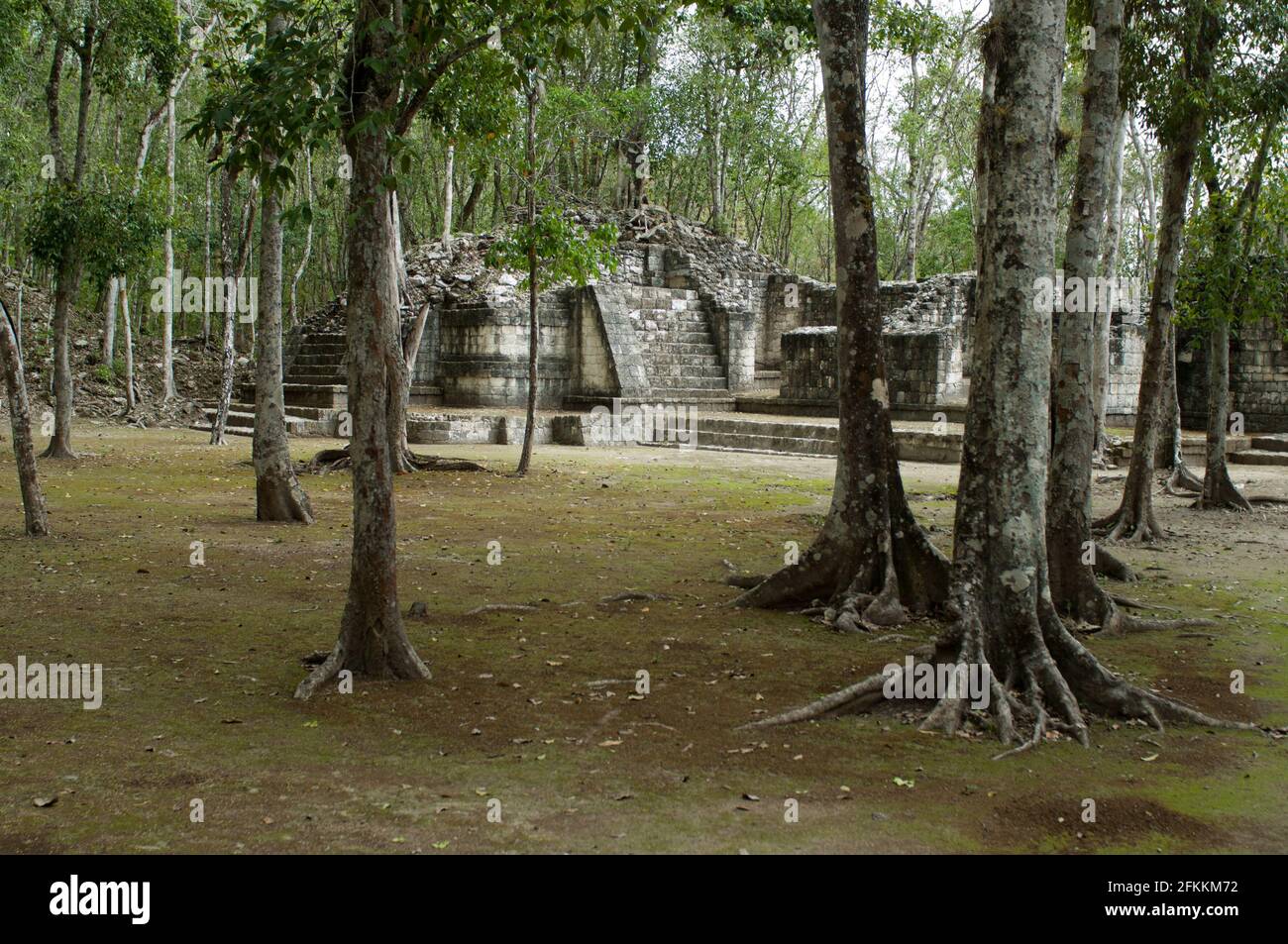 BALAMKU SIGNIFICA EN MAYA TEMPLO DEL JAGUAR LA ZONA ARQUEOLOGICA DE ...