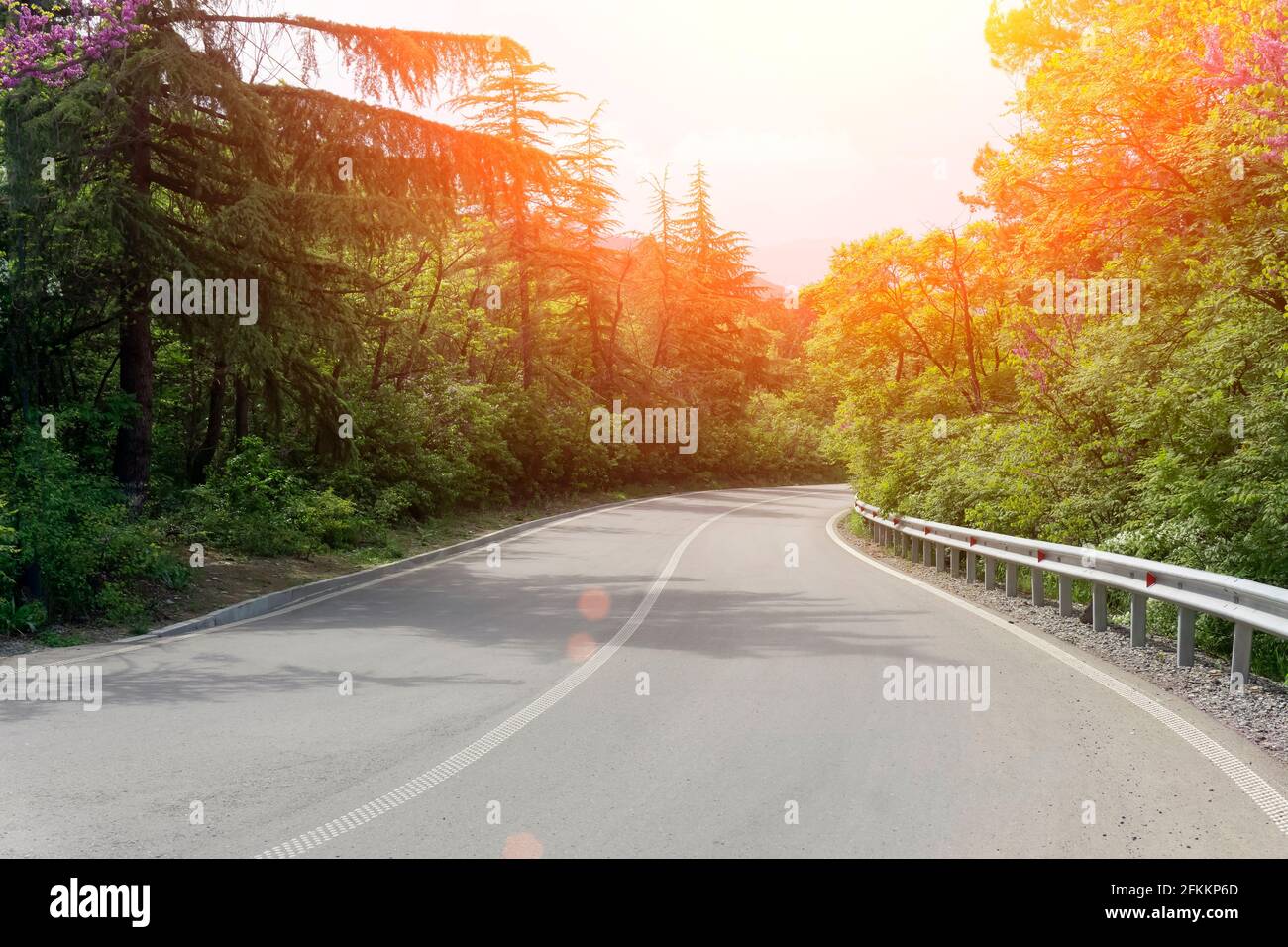 Redwood Highway High Resolution Stock Photography and Images - Alamy