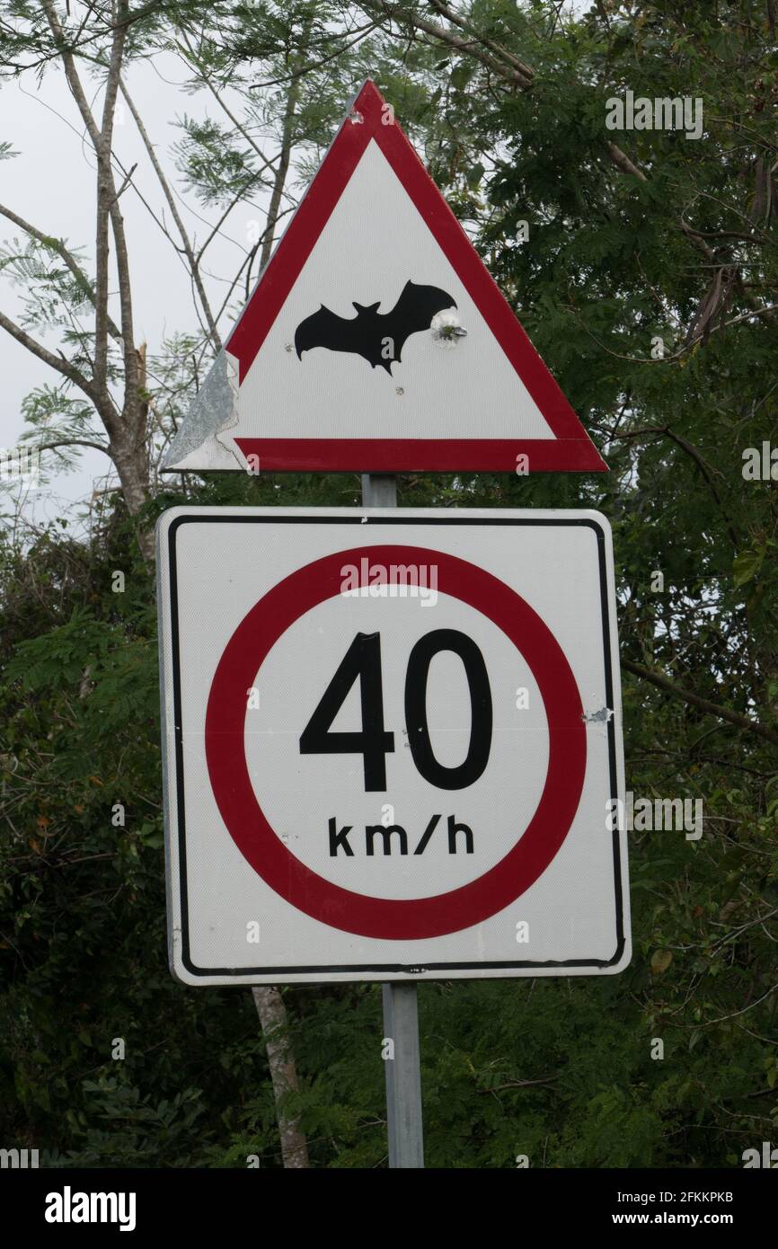 Bat traffic sign Stock Photo - Alamy