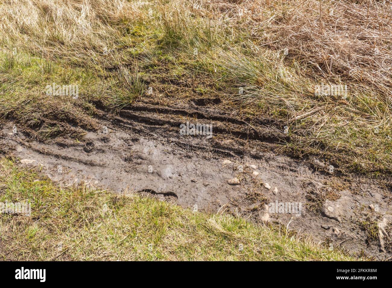 Walking boggy ground hi-res stock photography and images - Alamy