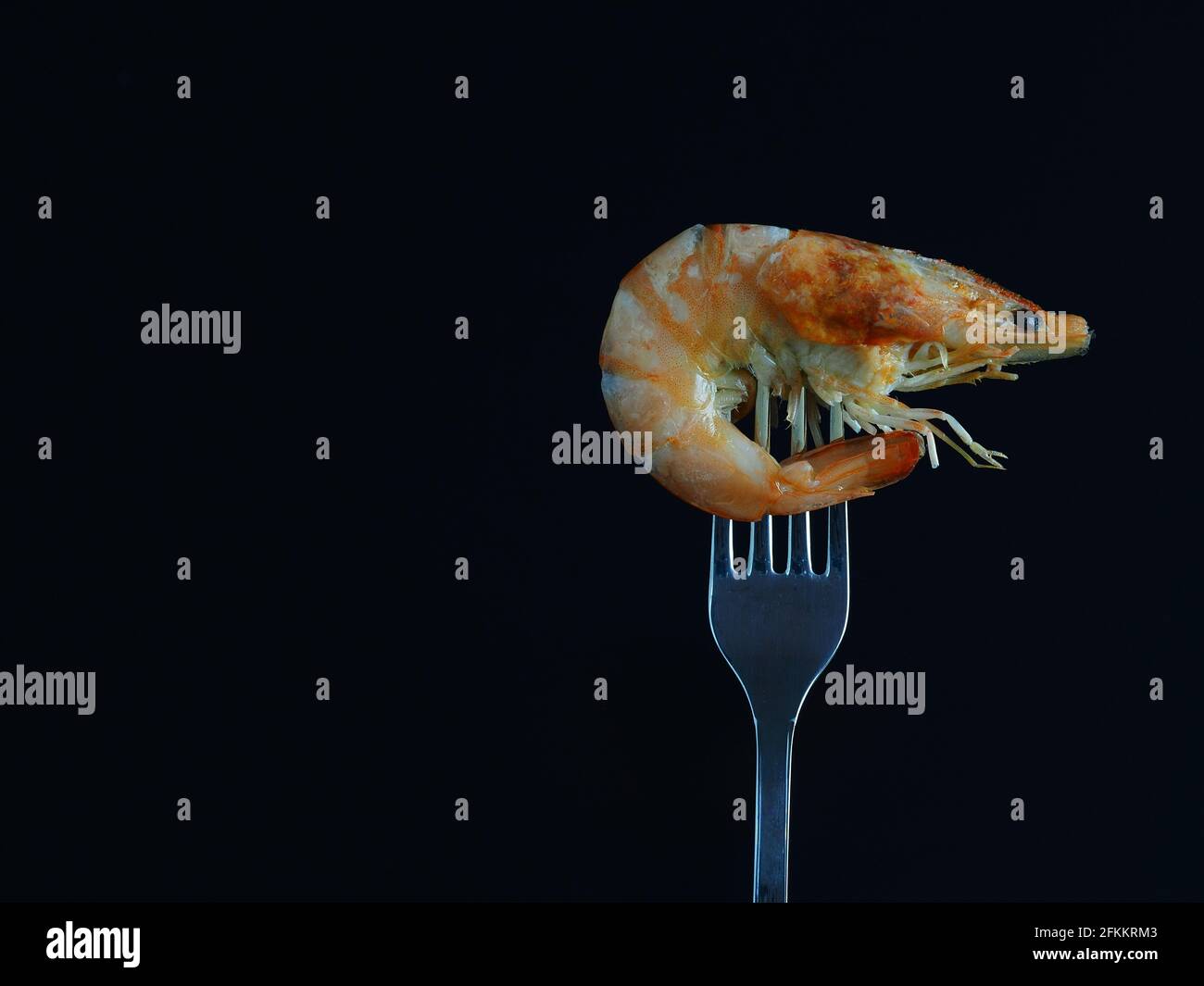 The king's shrimp is not cleaned on a fork, black background Stock ...