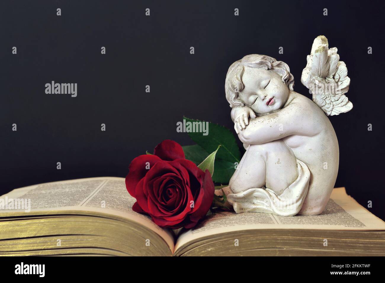Little angel sleeping on the book Stock Photo - Alamy