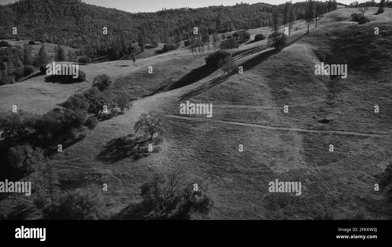 A grayscale of hills with trees Stock Photo - Alamy