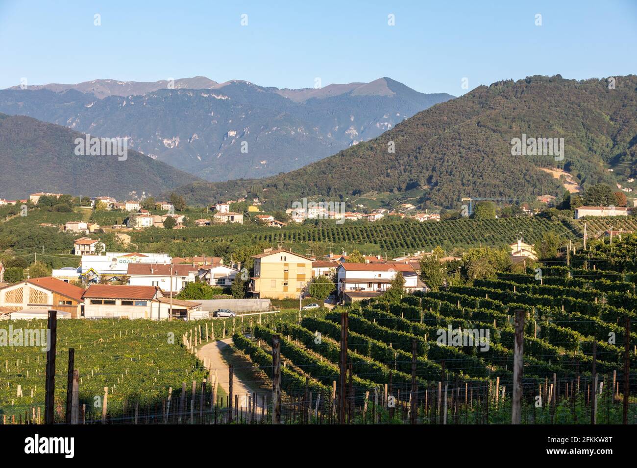 Picturesque hills with vineyards of the Prosecco sparkling wine region ...