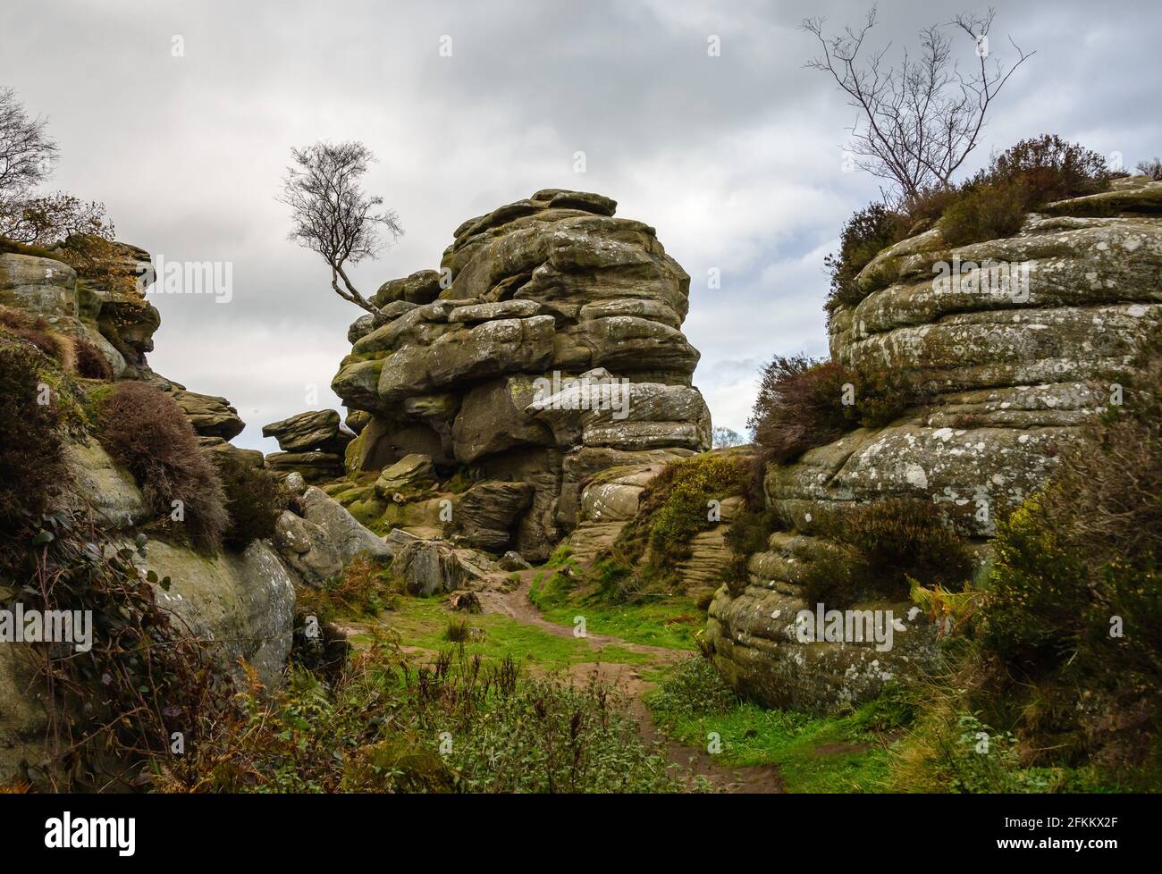 Brimham Rocks Yorkshire England Stock Photo - Alamy