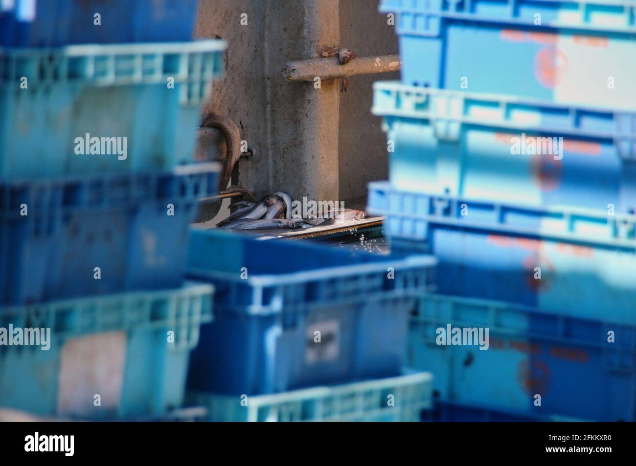 Overfishing waste hi-res stock photography and images - Alamy