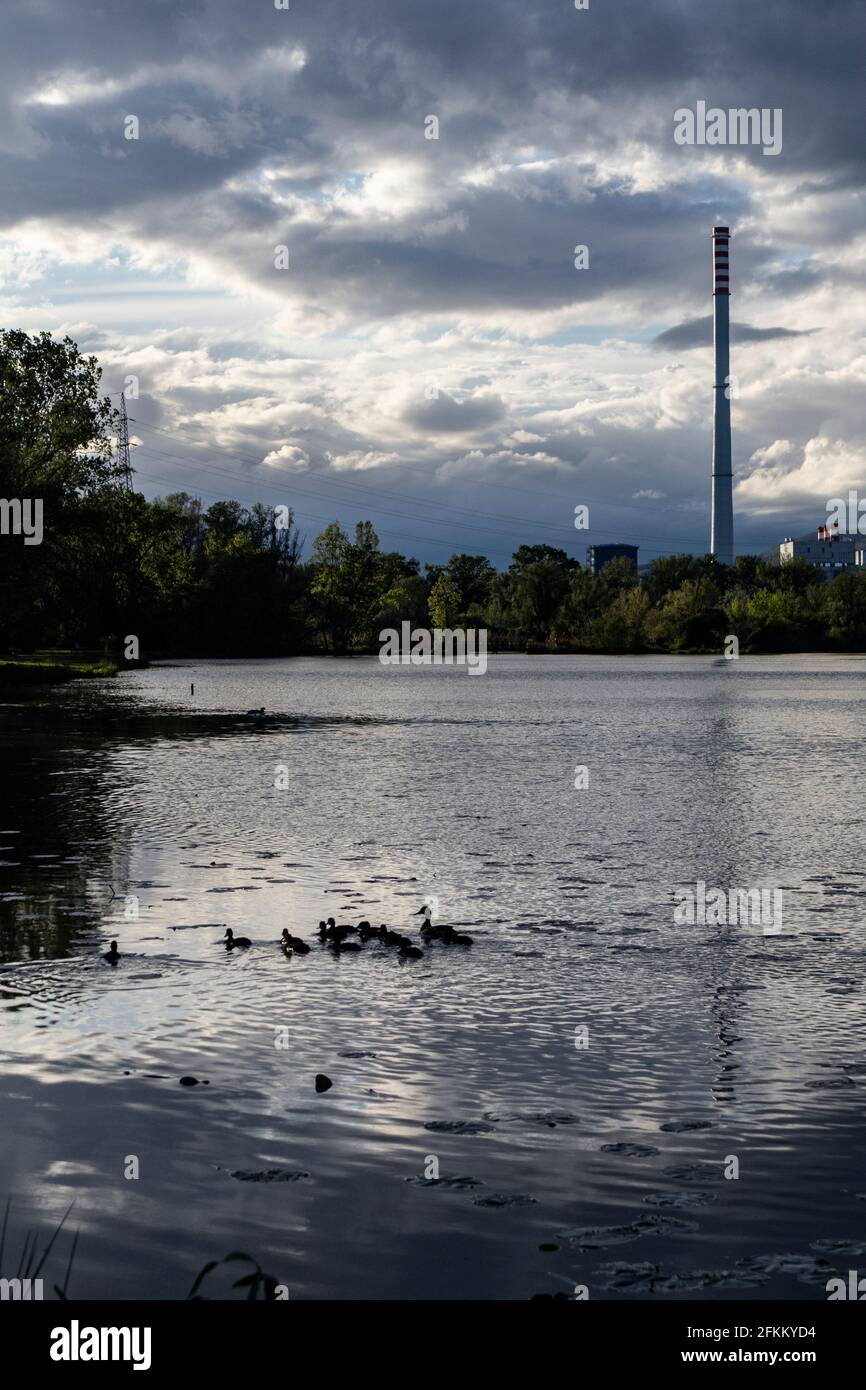 Human made pond hi-res stock photography and images - Alamy