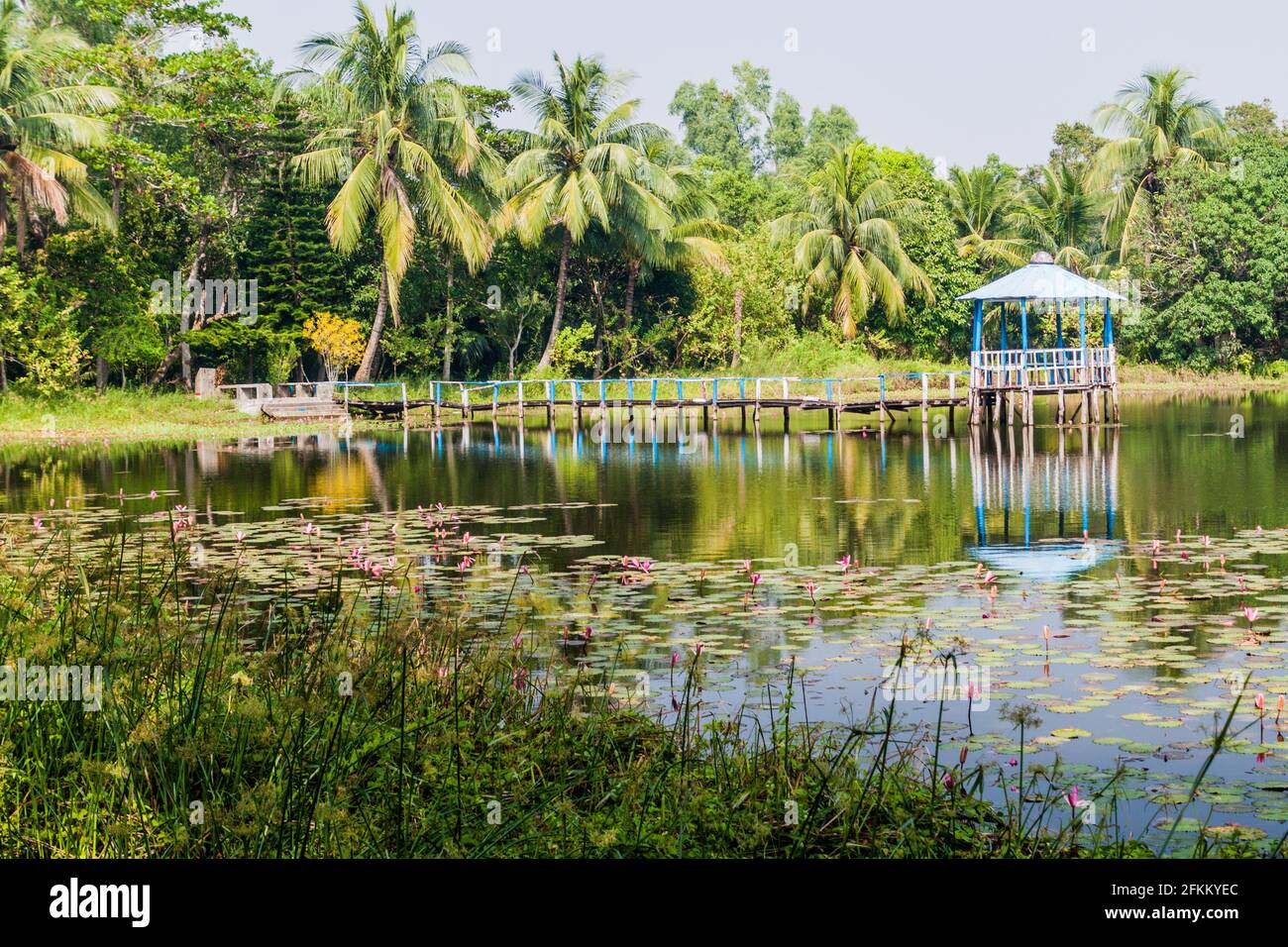 Small pond in Harbaria eco park in Sundarbans, Bangladesh Stock Photo ...