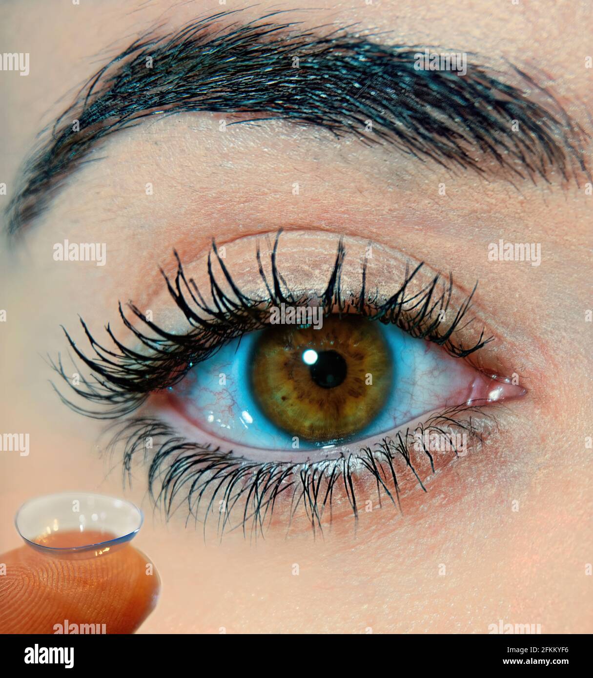 Contact lens placement in the eye Stock Photo - Alamy