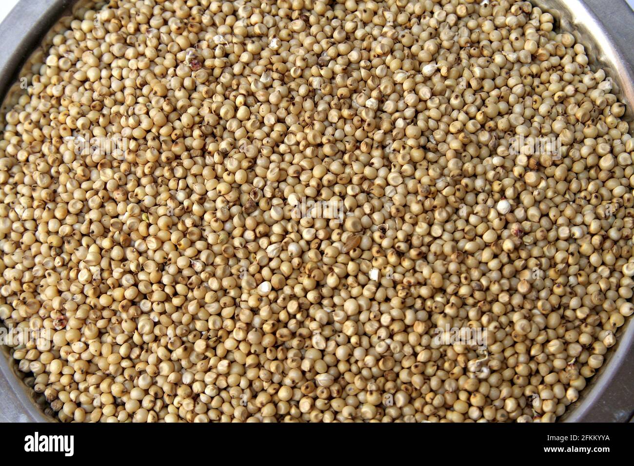 Grass granules hi-res stock photography and images - Alamy