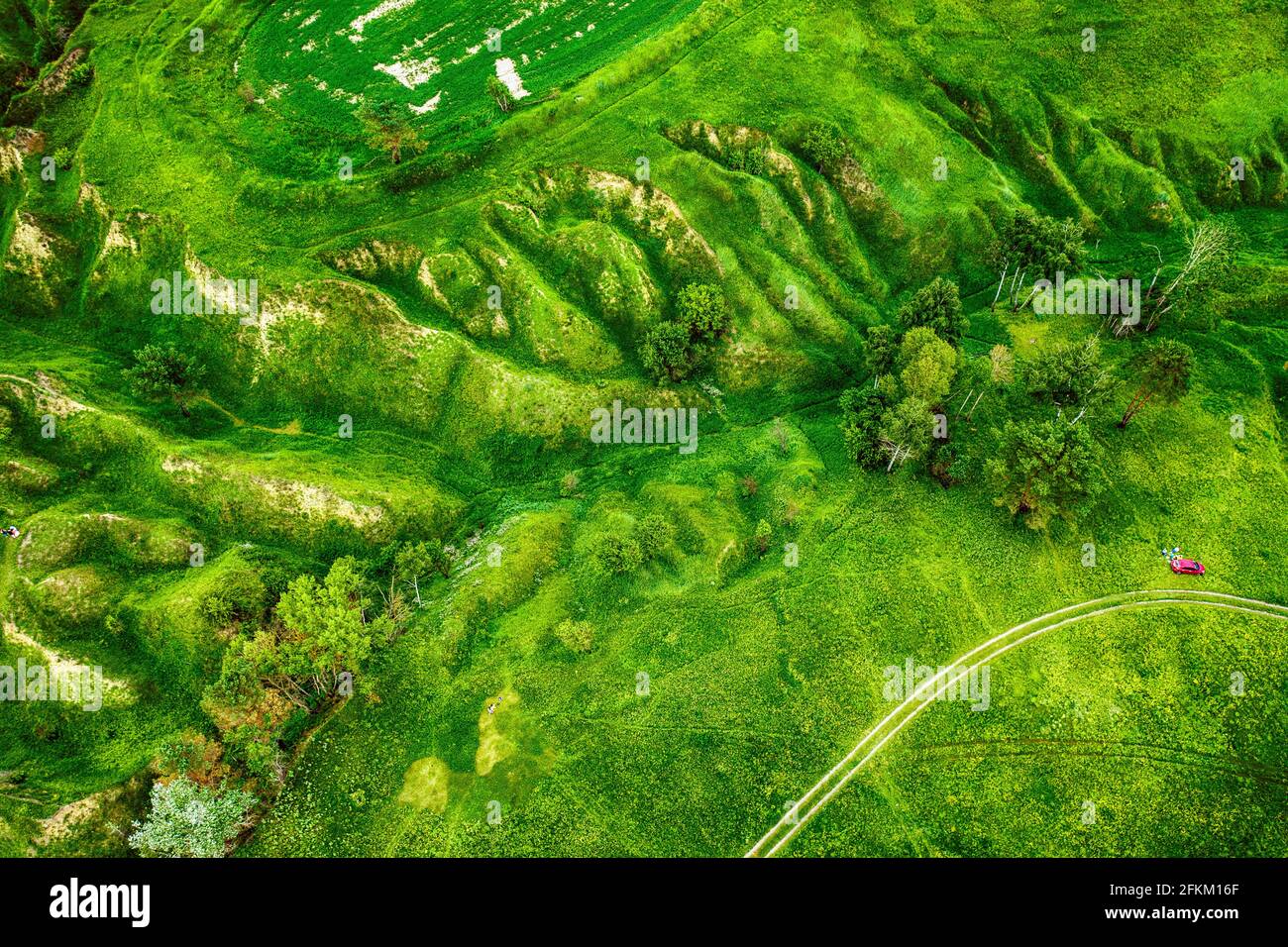 Green fields from above Stock Photo - Alamy