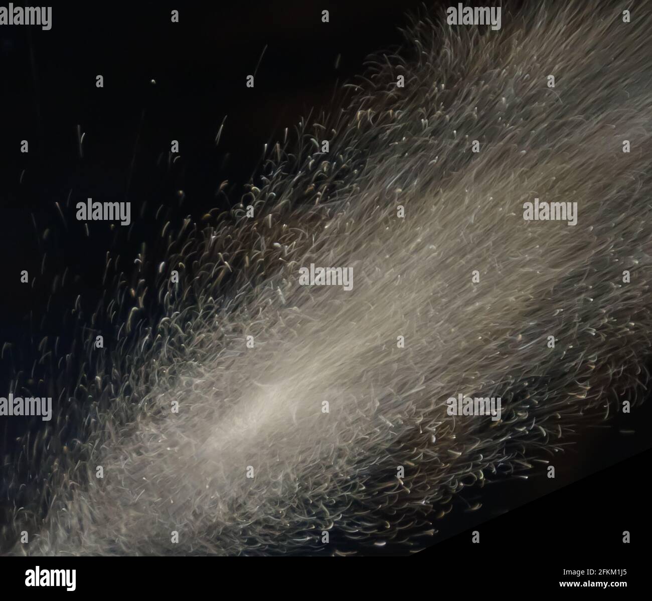 Abstract moving particles hi-res stock photography and images - Alamy