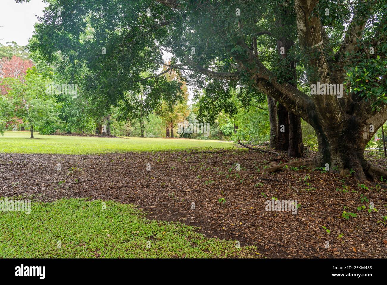 Wappadampark hi-res stock photography and images - Alamy