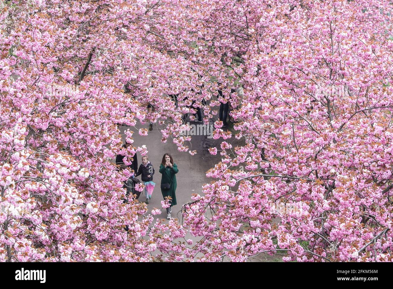 Berlin, Germany. 2nd May, 2021. People enjoy their time beneath ...