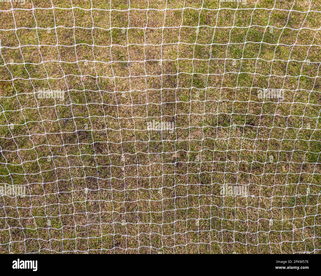 Close up texture background view of net on grass field background Stock ...