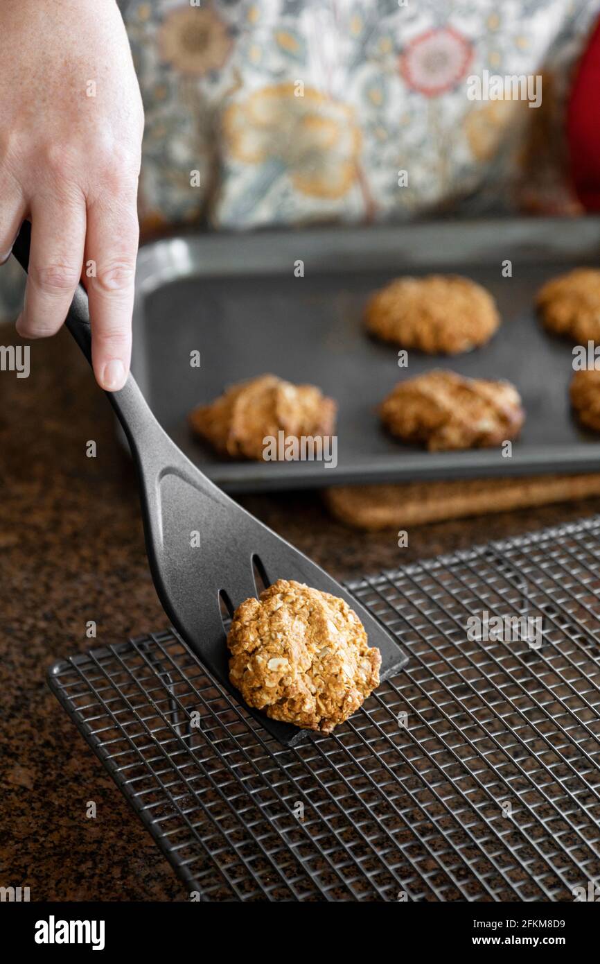 Placing homemade Anzac biscuits onto cooling rack Stock Photo - Alamy