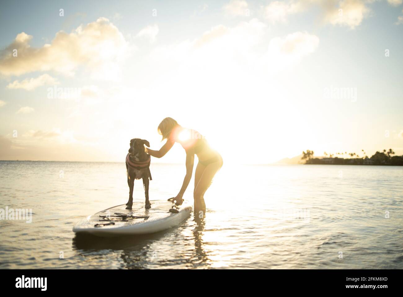 Woman paddleboard water sports hi-res stock photography and images - Alamy