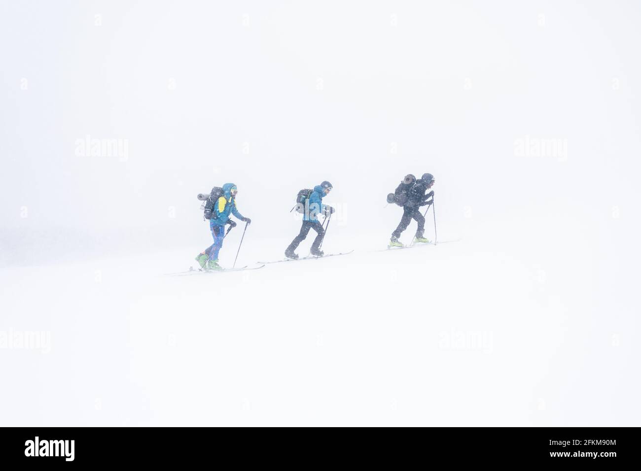 Backcountry ski in a blizzard with a total white background Stock Photo ...