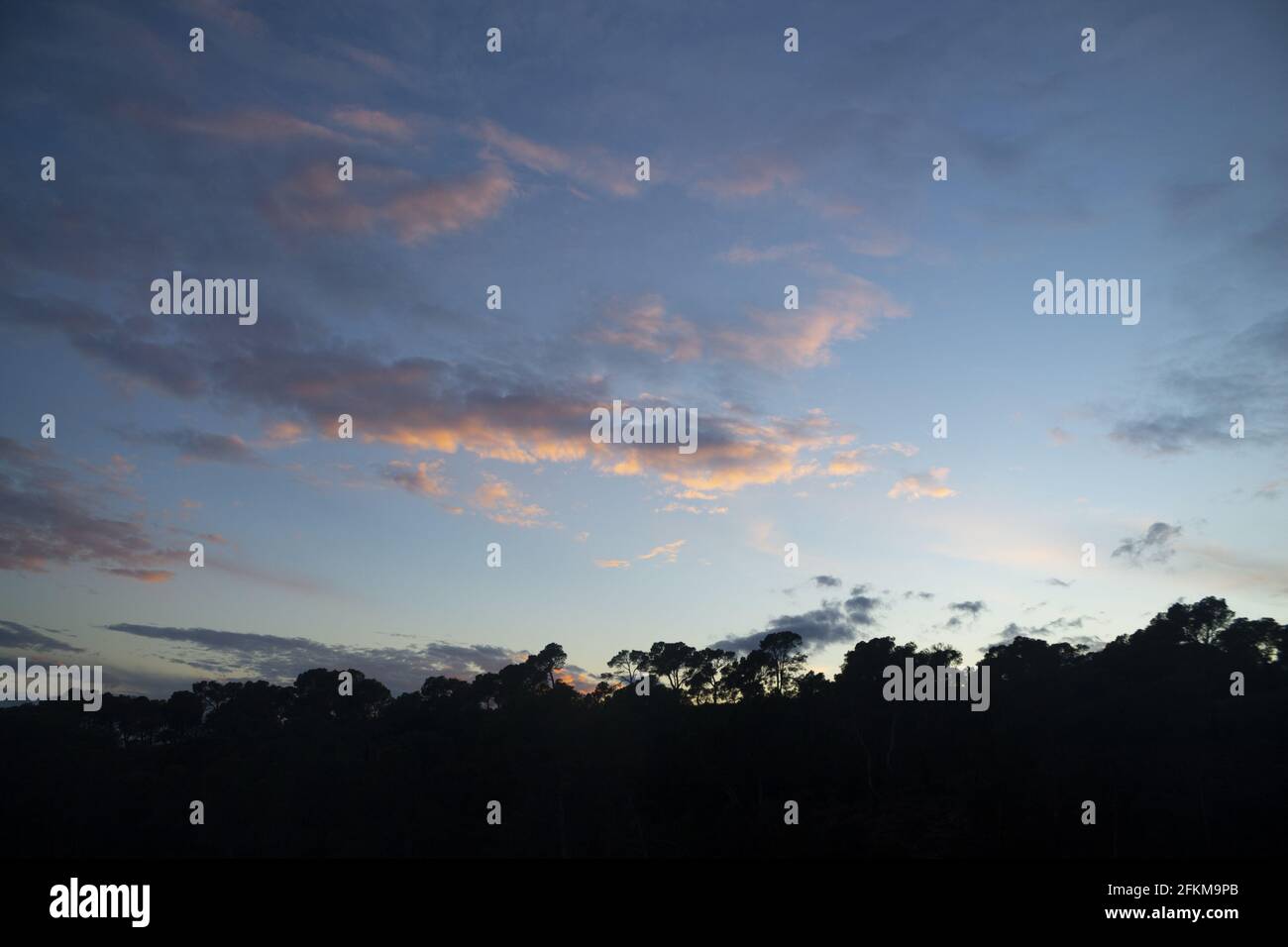 Stunning view sunset treetops hi-res stock photography and images - Alamy