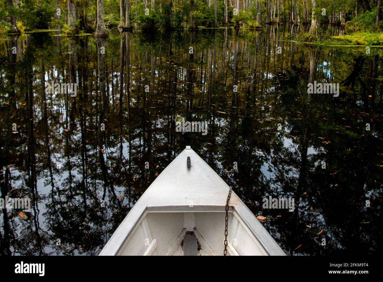 The front of a white rowboat floating in dark swamp water Stock Photo ...