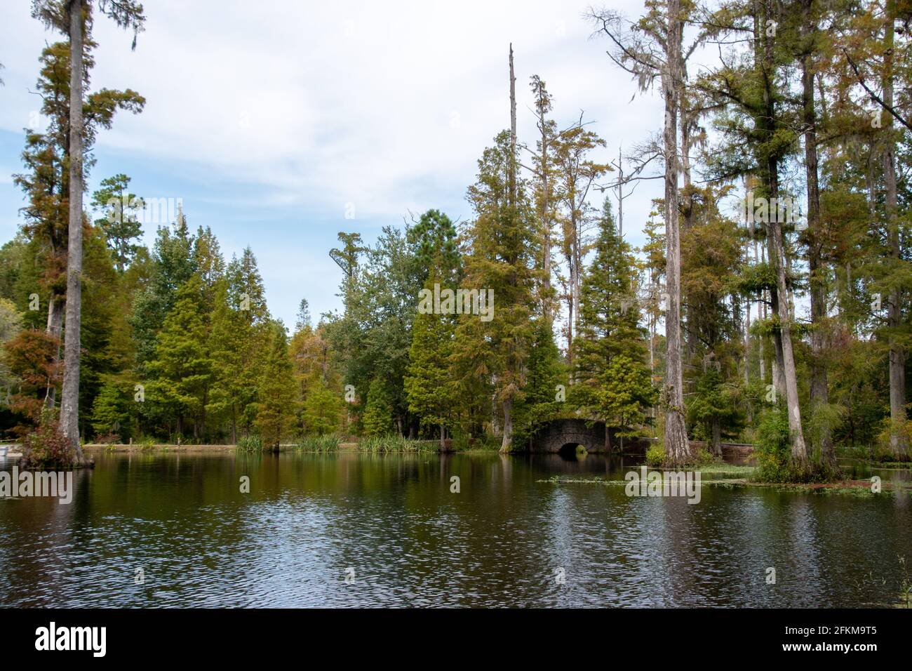 A panoramic view of cyprus gardens in Moncks Corner, South Carolina ...