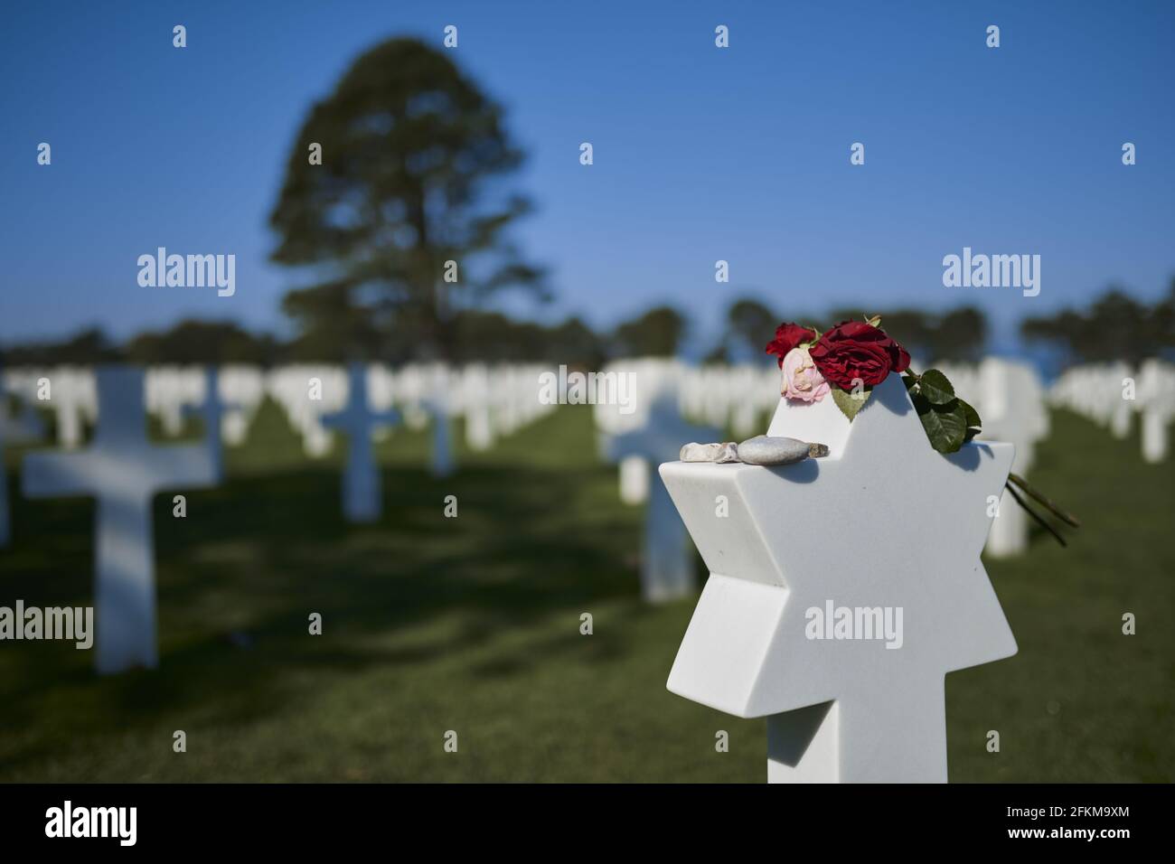 A closeup shot of rocks and flowers on a white star gravestone in the ...