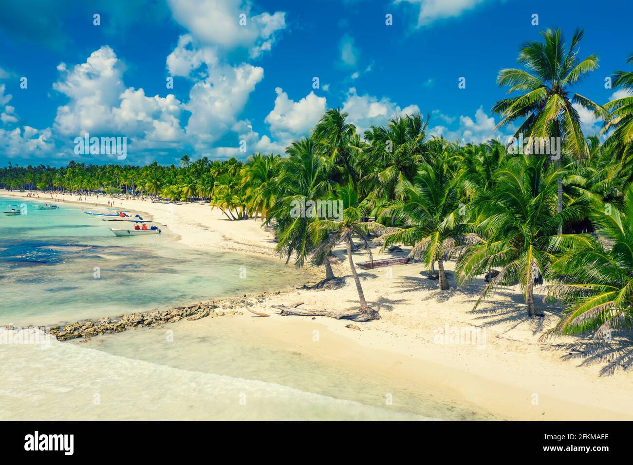 Tropical carribbean beach Stock Photo - Alamy