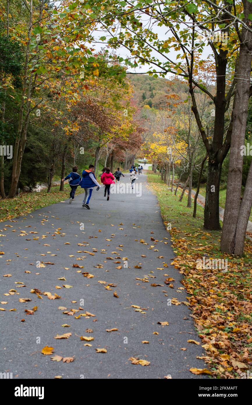 Kids running down a road with yellow leaves in autumn Stock Photo - Alamy