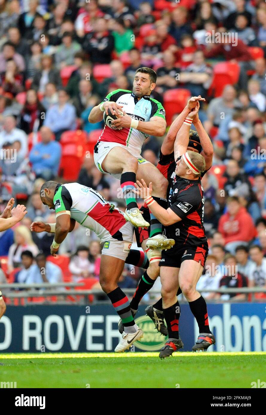 Nick david harlequins hi-res stock photography and images - Alamy