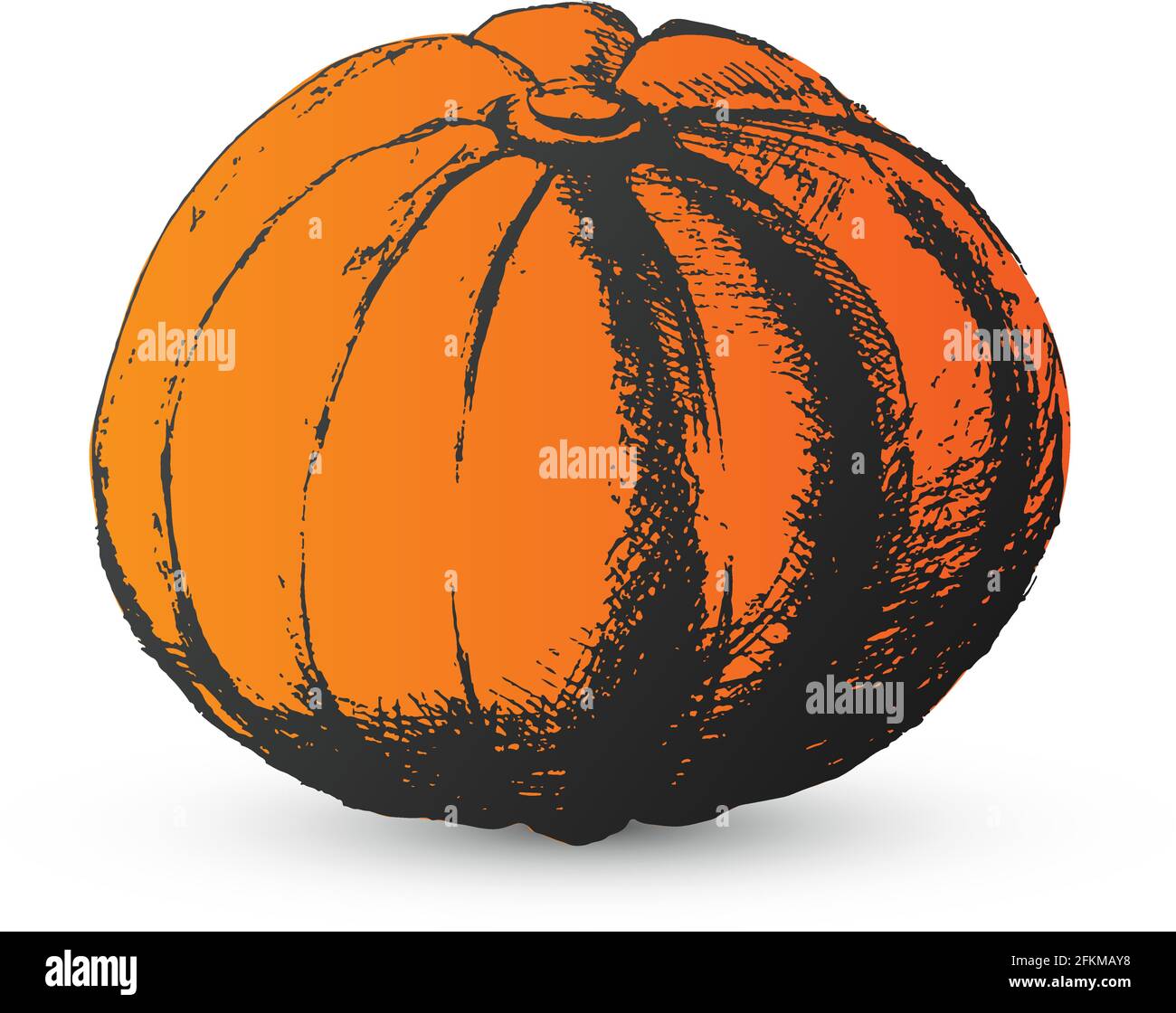 A hand drawn pumpkin sketch isolated on white. Thanksgiving day or ...
