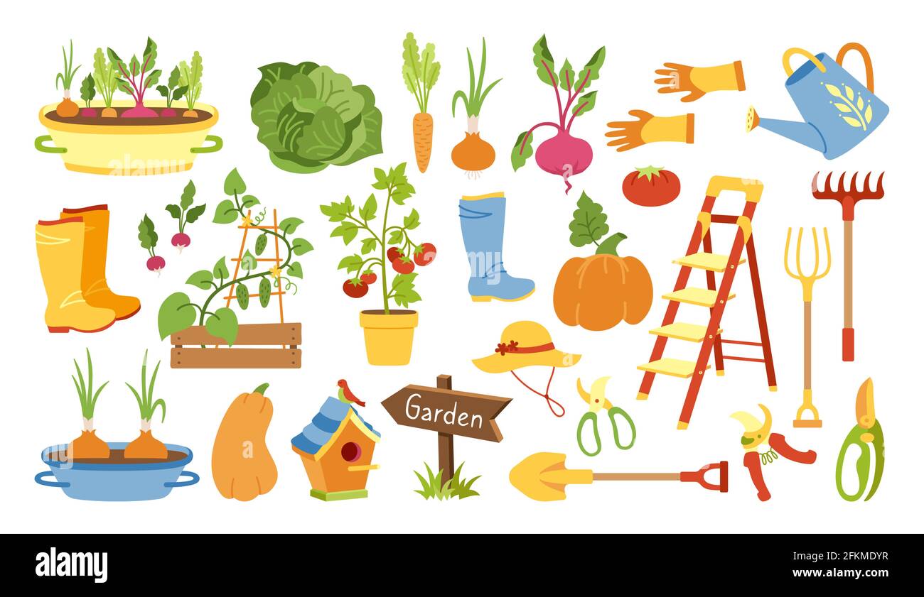 Cucumber seedlings Stock Vector Images - Alamy