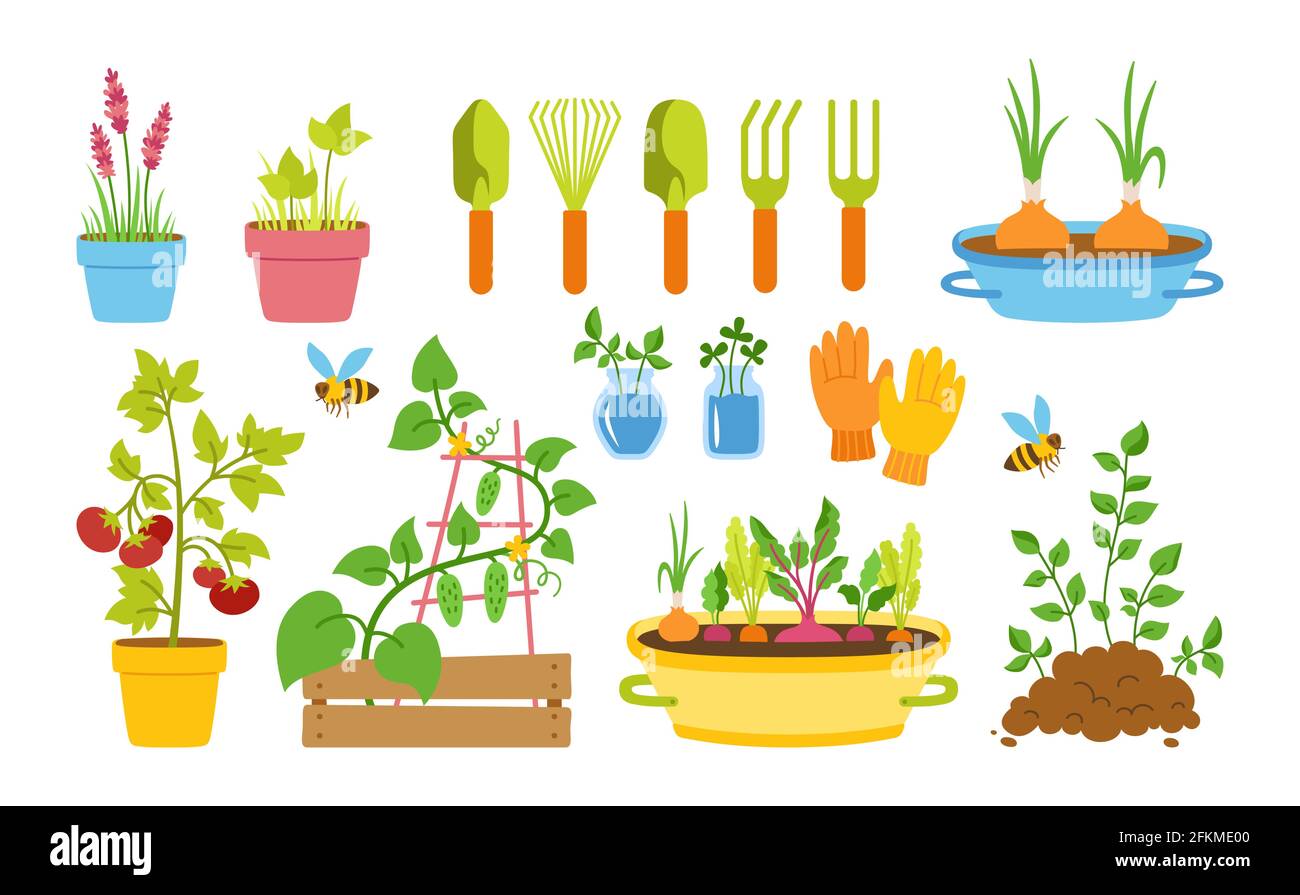 Potted Vegetable Plant Clipart