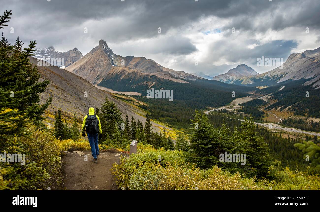 Wilcox ridge trail hi-res stock photography and images - Alamy